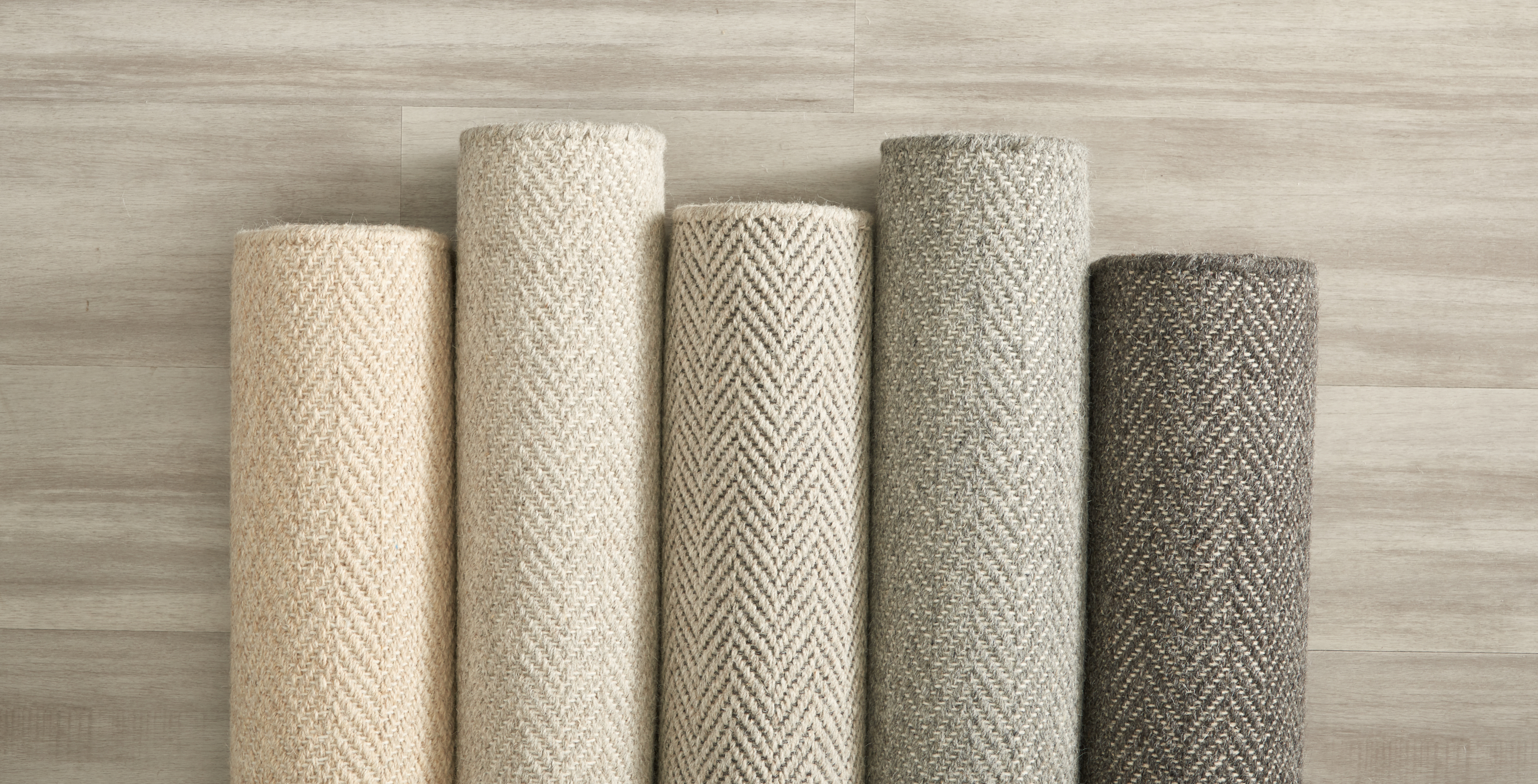 Stanton Carpet | Stanton Rug Co | Zoe Bone