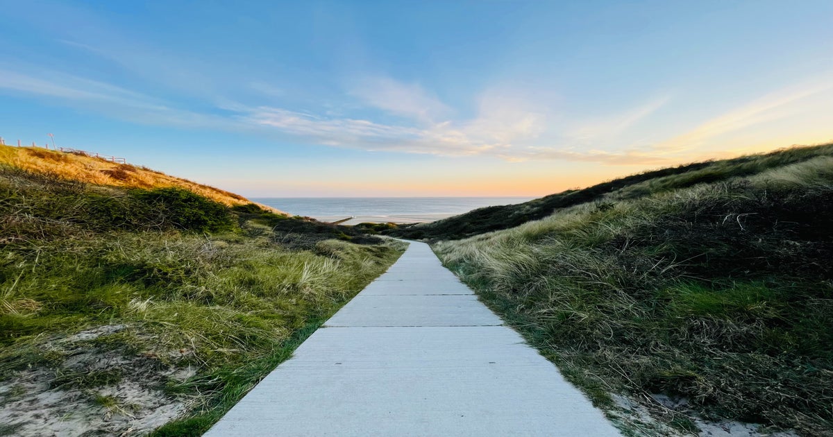 Planning a Trip to The Cape This Summer? Here’s What You Need to Know ...