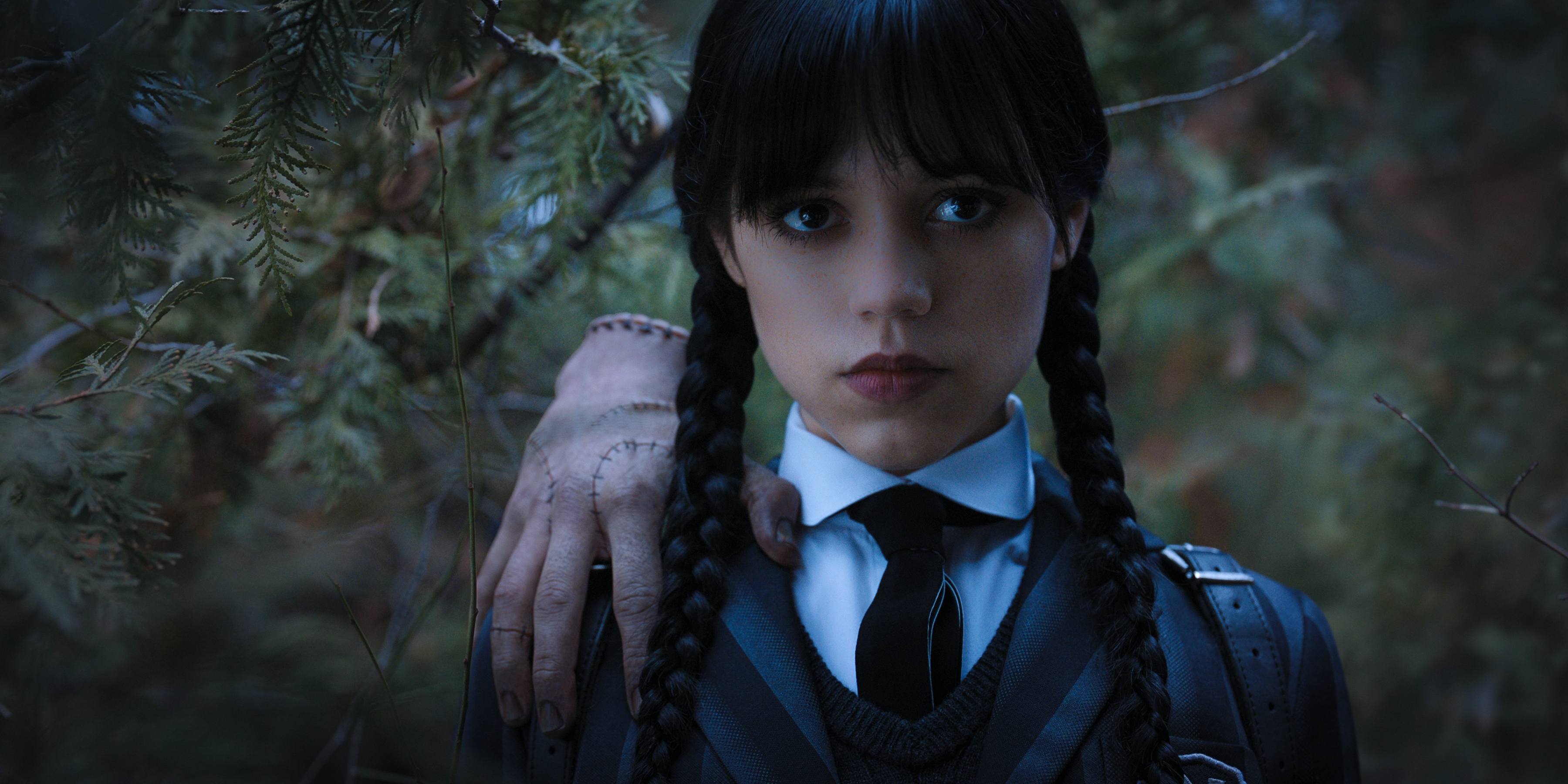 Who is Bullying Wednesday Addams?: Exploring The Depth Of Inclusion ...