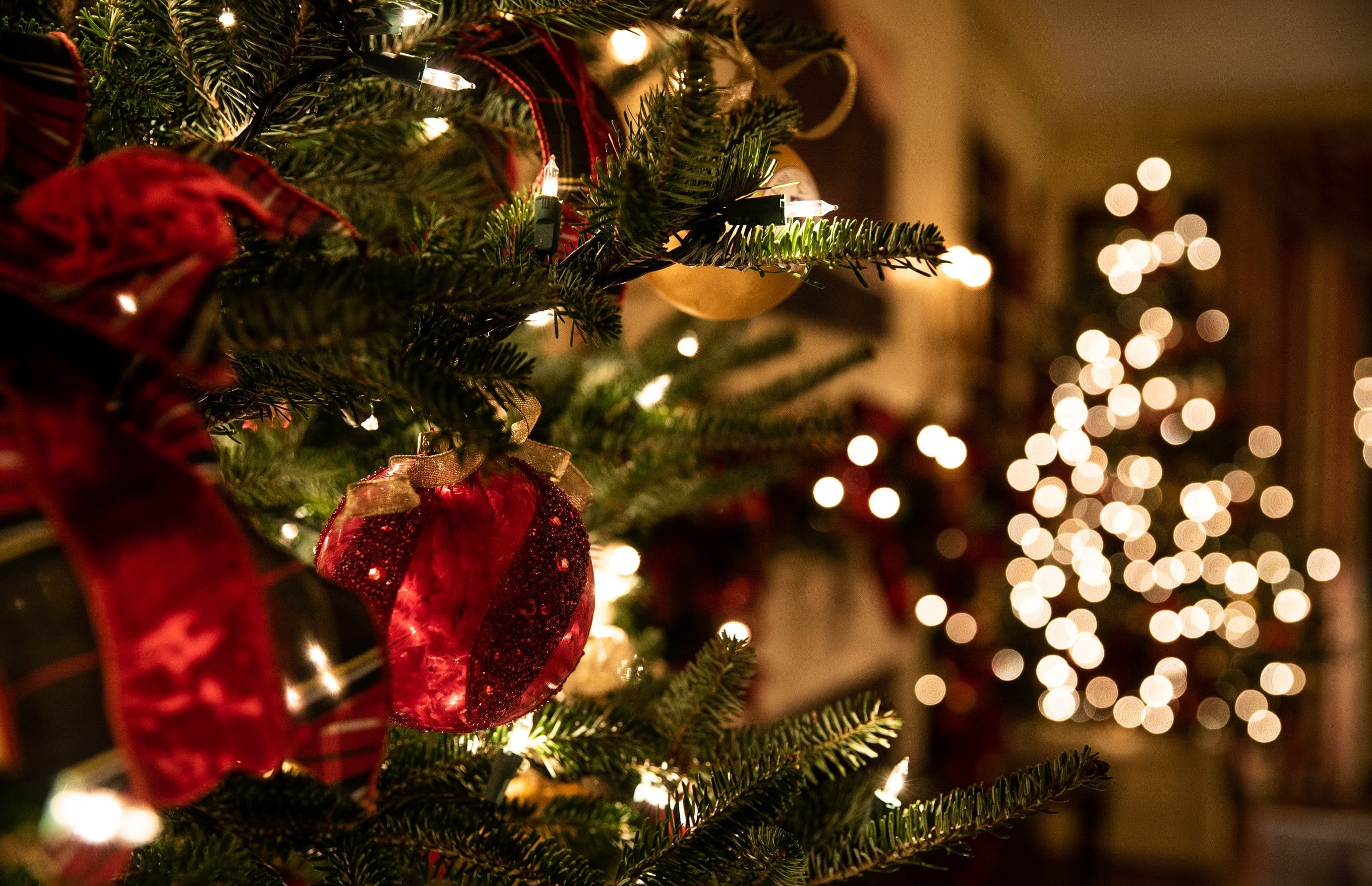 Adding Cheer to Your Playlist: My Top 5 Celebrity Christmas Albums Adding Cheer to Your Playlist: My Top 5 Celebrity Christmas Albums