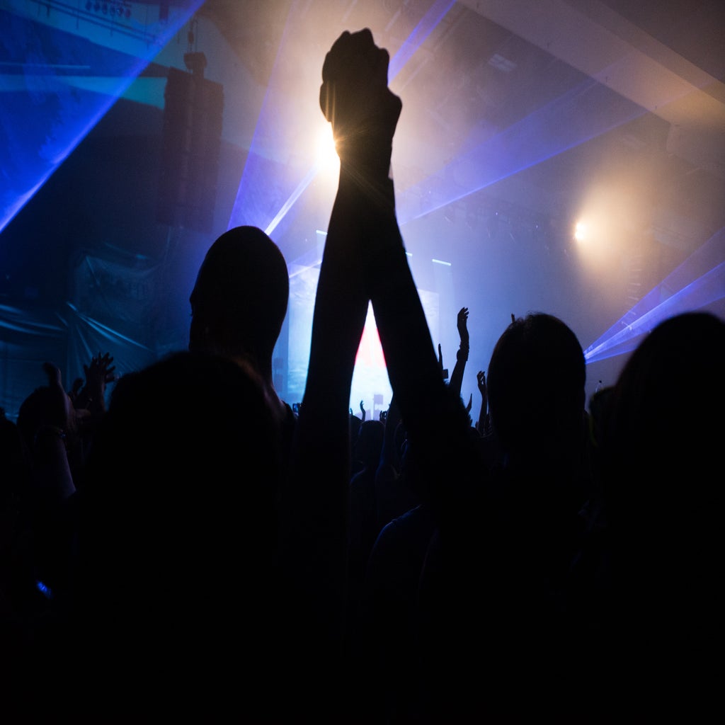 Is it Really That Important to Be at The Front of the Pit at a Concert ...