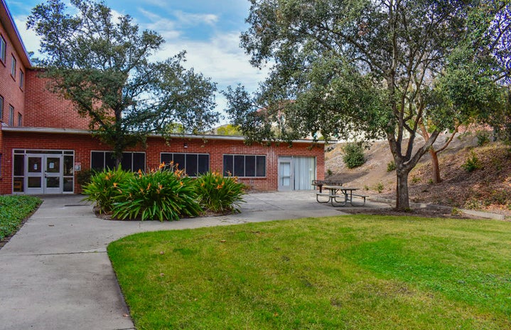 Need A Study Break? These are the Best Walks On Cal Poly SLO's Campus