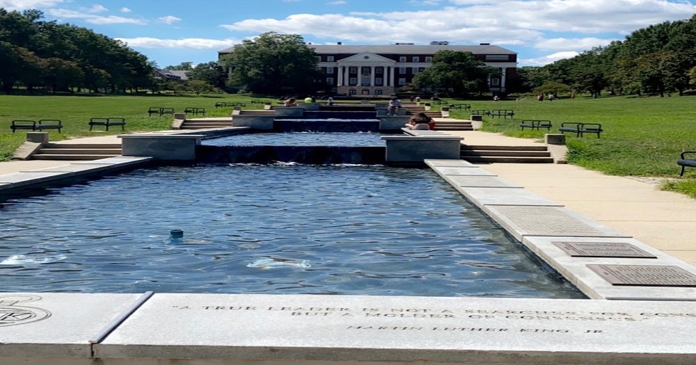 Vice President of Student Affairs Dr. Patty Perillo Serves as a Role ...