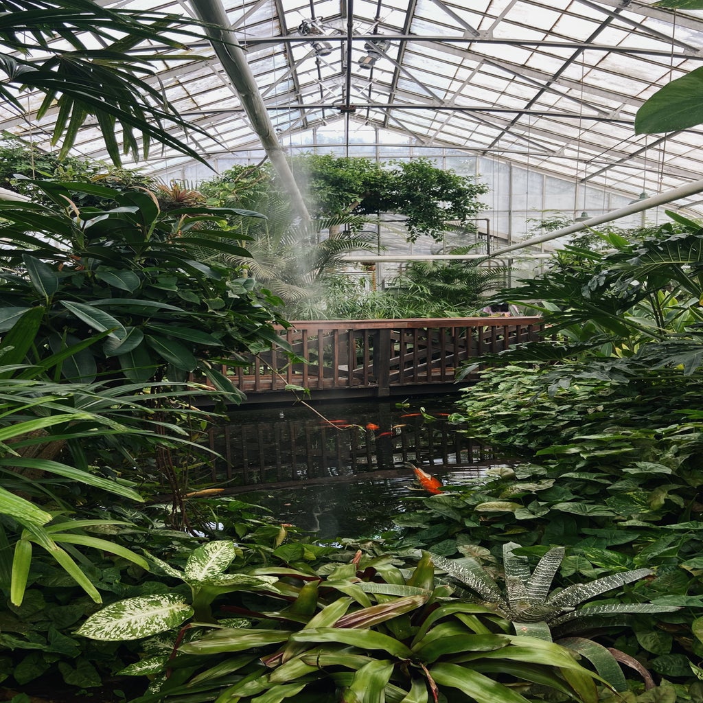 5 Things on My "Senior Year at UMass Amherst" Bucket List