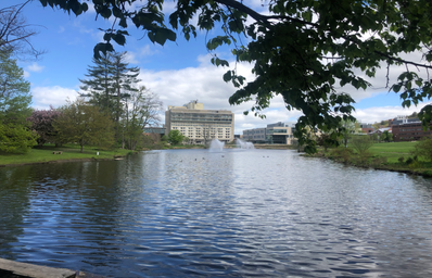 A Central Girl's Guide to the UMass Dining Halls