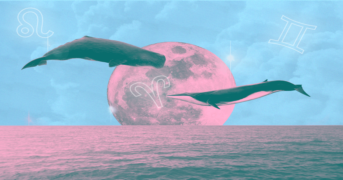 These Zodiac Signs Are Most Likely To Still Be In Their One Direction Phase