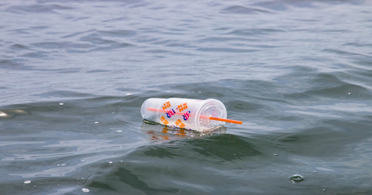 Stop Plastic Pollution: Skip the Straw