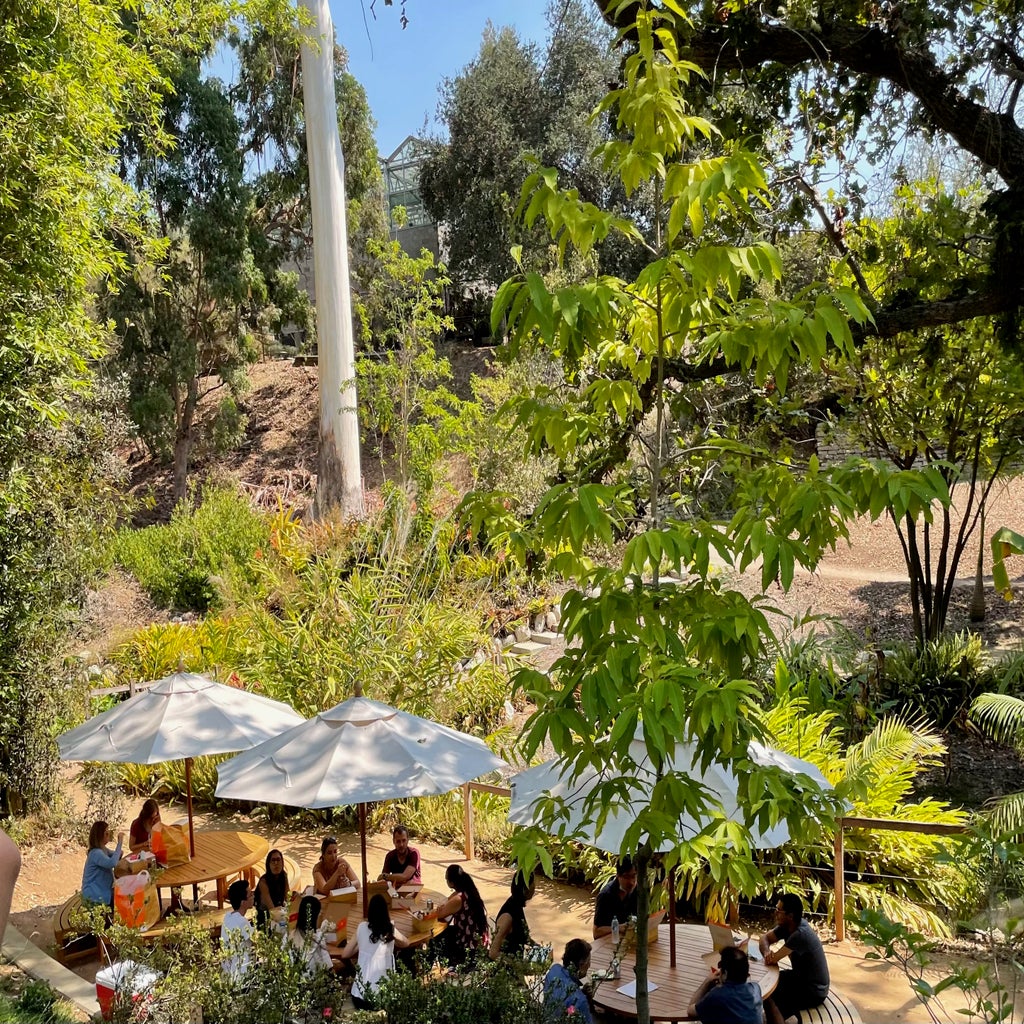 Which UCLA Study Spot You Should Visit Based On Your Zodiac Sign