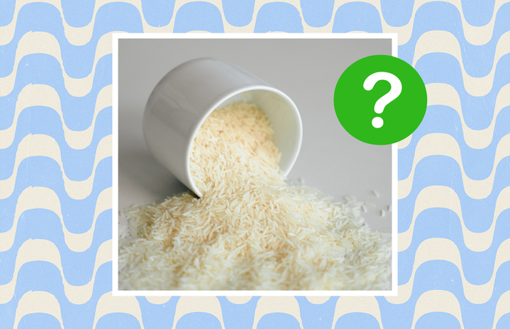 Why Is Gen Z Still Obsessed With The Rice Purity Test?