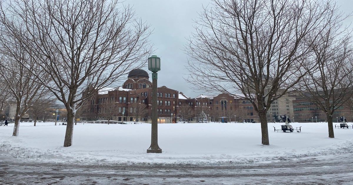 5 Ways to Spend a Snow Day