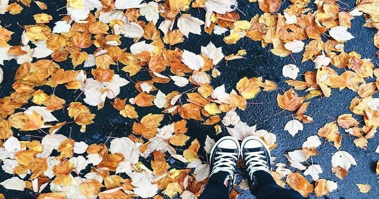 The Ultimate Guide to All Things Autumn