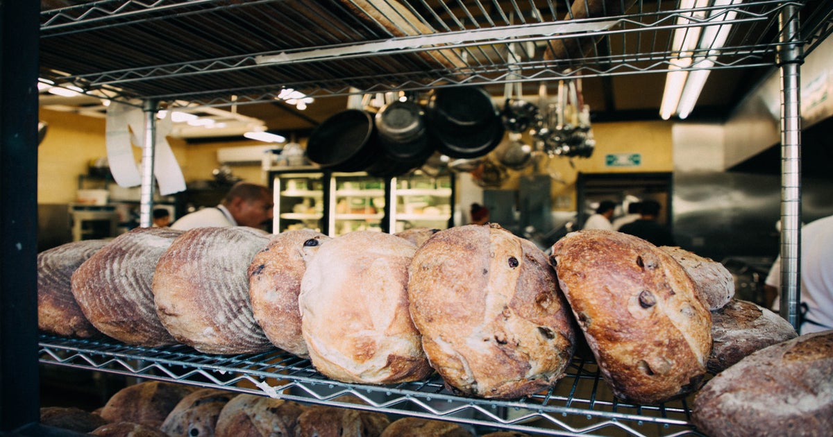 Guelph Spotlight: With the Grain