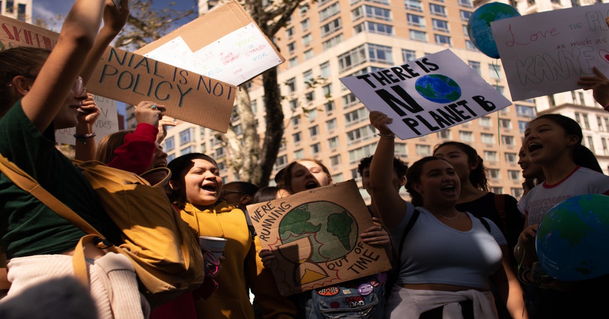 Brazilian Youth And Political Activism: The Impact Of Youth-Led ...