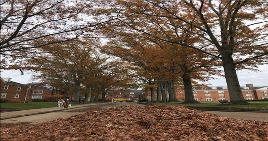 Social Distancing Adventures: Walking Around My Mom’s Old Neighborhood