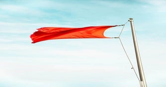 Everyone is Talking About Their Red Flags; Here Are Mine
