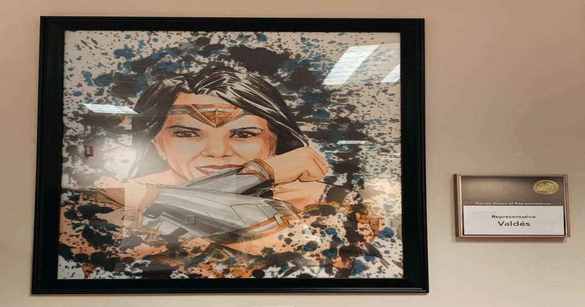 Wonder Woman in the Florida House of Representatives
