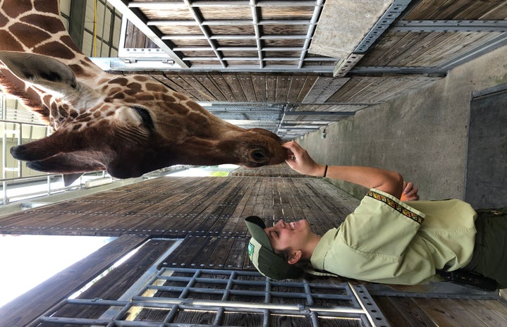 Meet Tiara Collier: FSU Alum and Keeper at Animal Kingdom Lodge