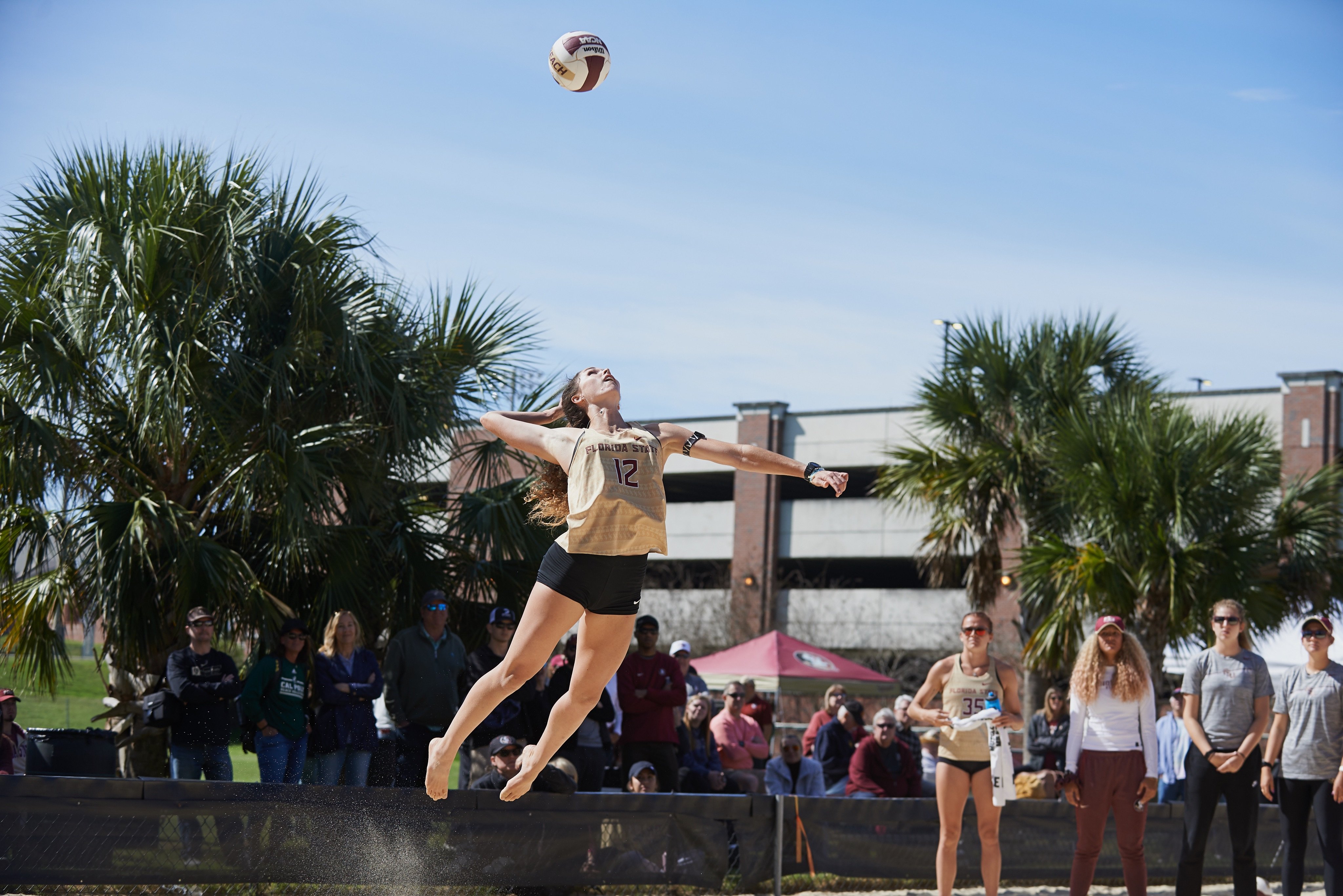FSU Women In Sports Dominating and Why No One’s Talking About It