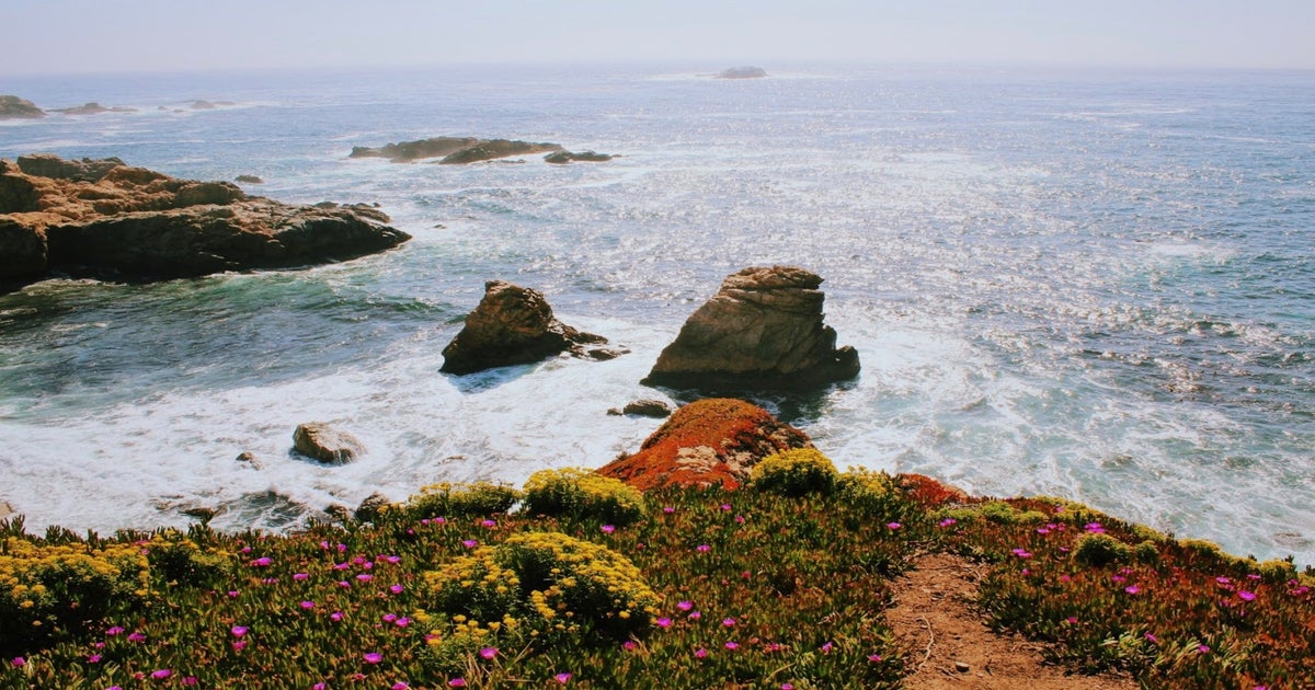 A Guide to Exploring California