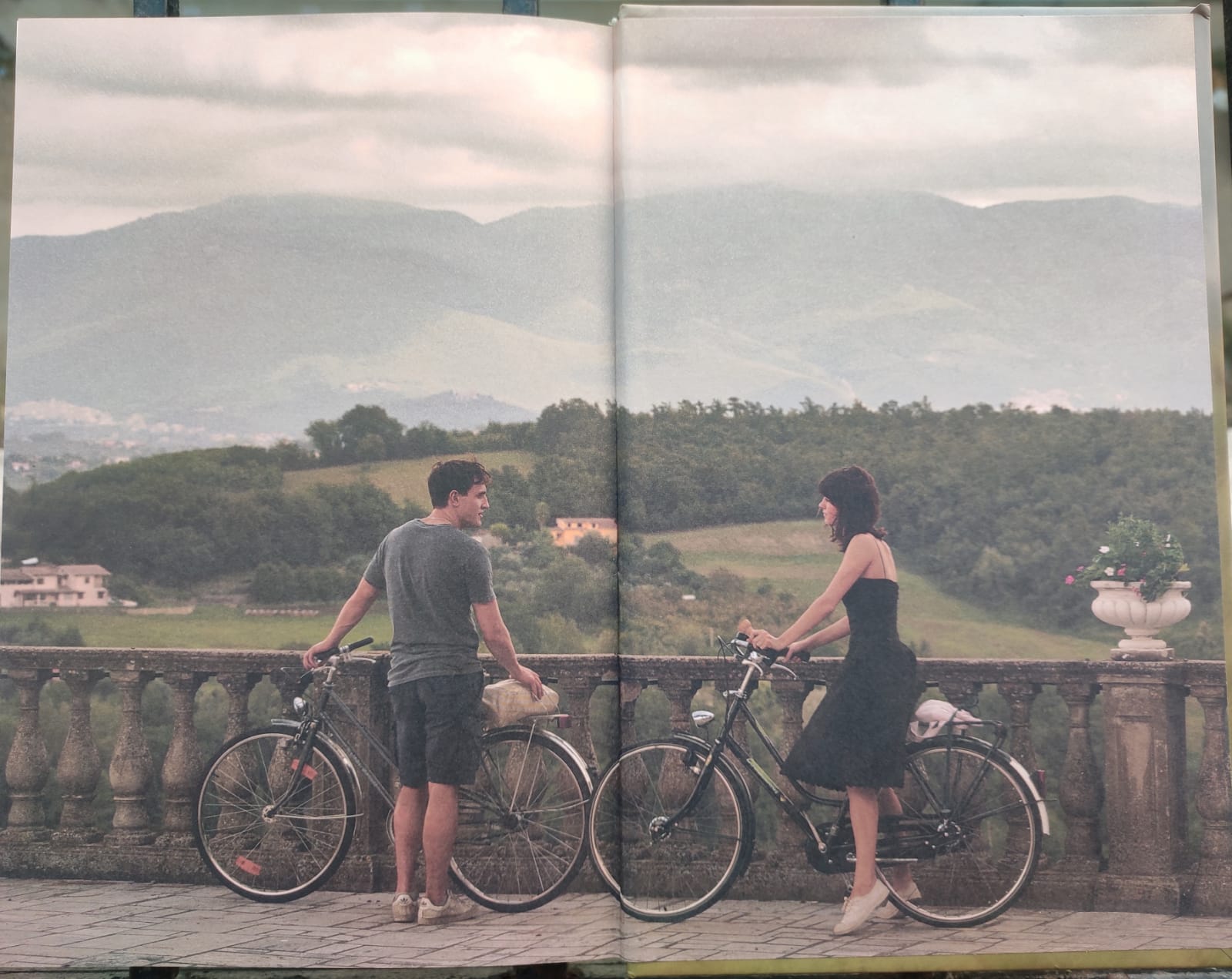 My Thoughts on Normal People: The Book vs the TV Show