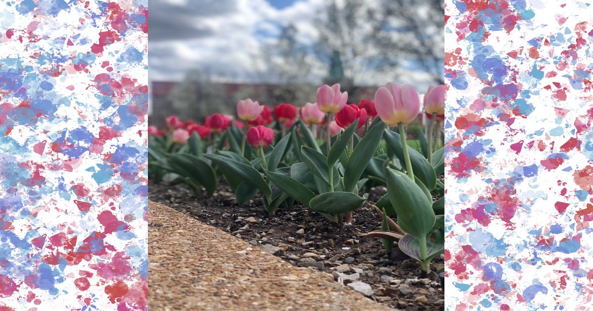 40 Signs You Go to Saint Louis University