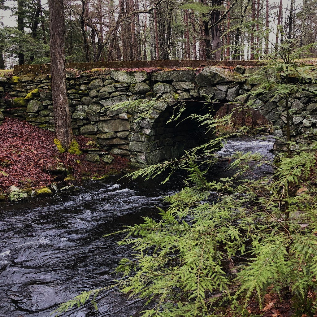 I Went to a Different Quabbin Gate Every Day for a Week. Here’s How ...