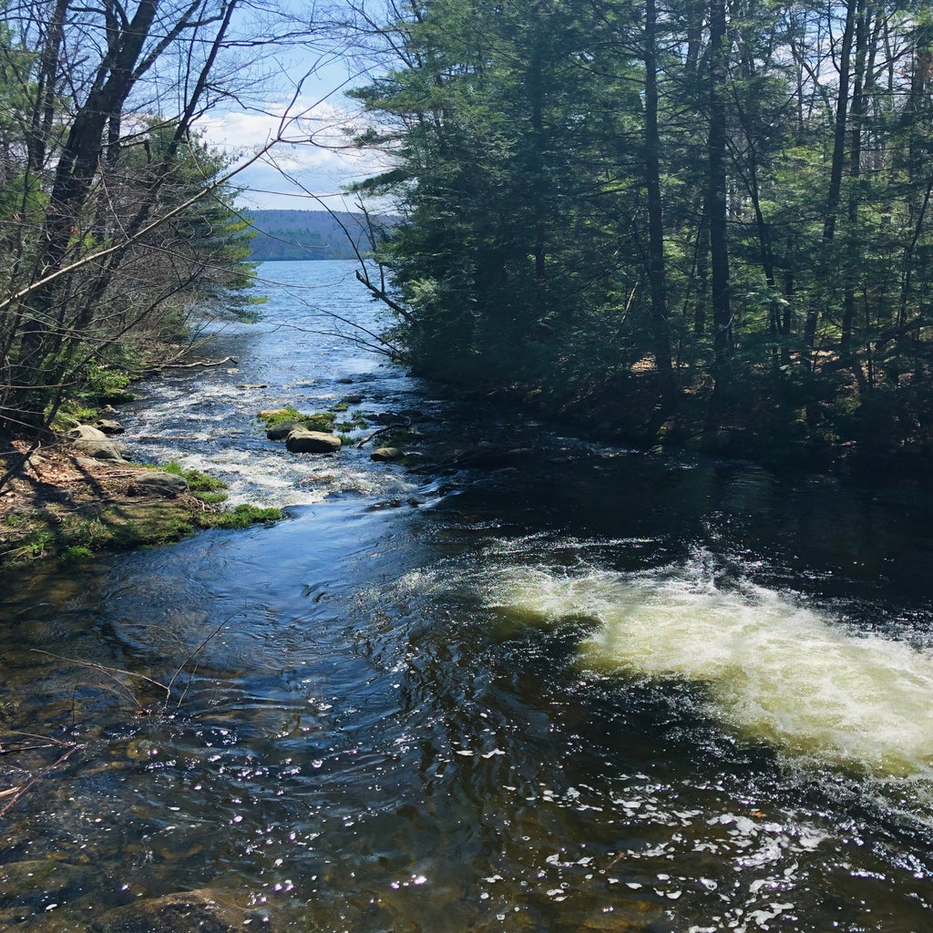 I Went to a Different Quabbin Gate Every Day for a Week. Here’s How ...