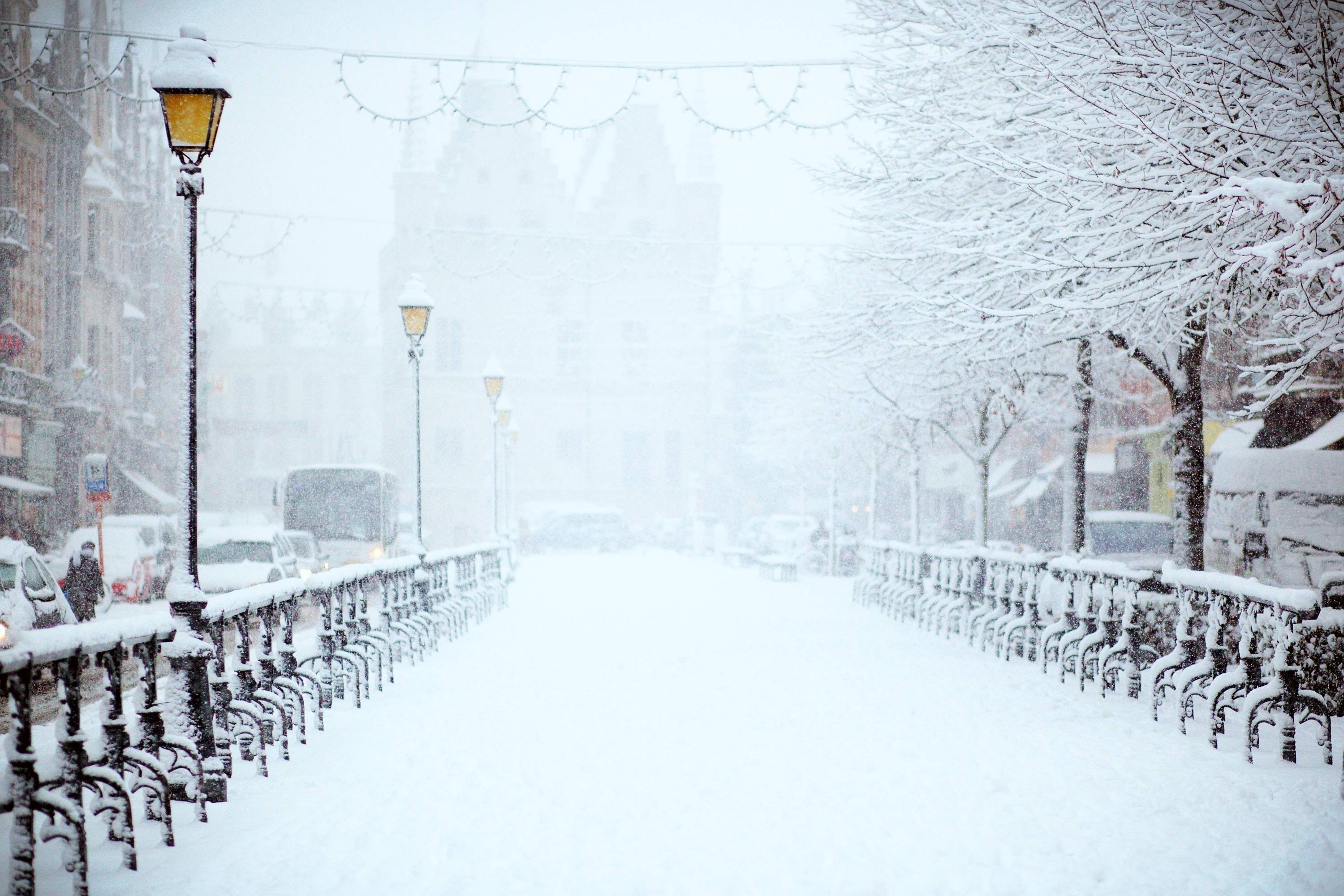 A Student’s Guide to Winter: Lorelai Gilmore Style