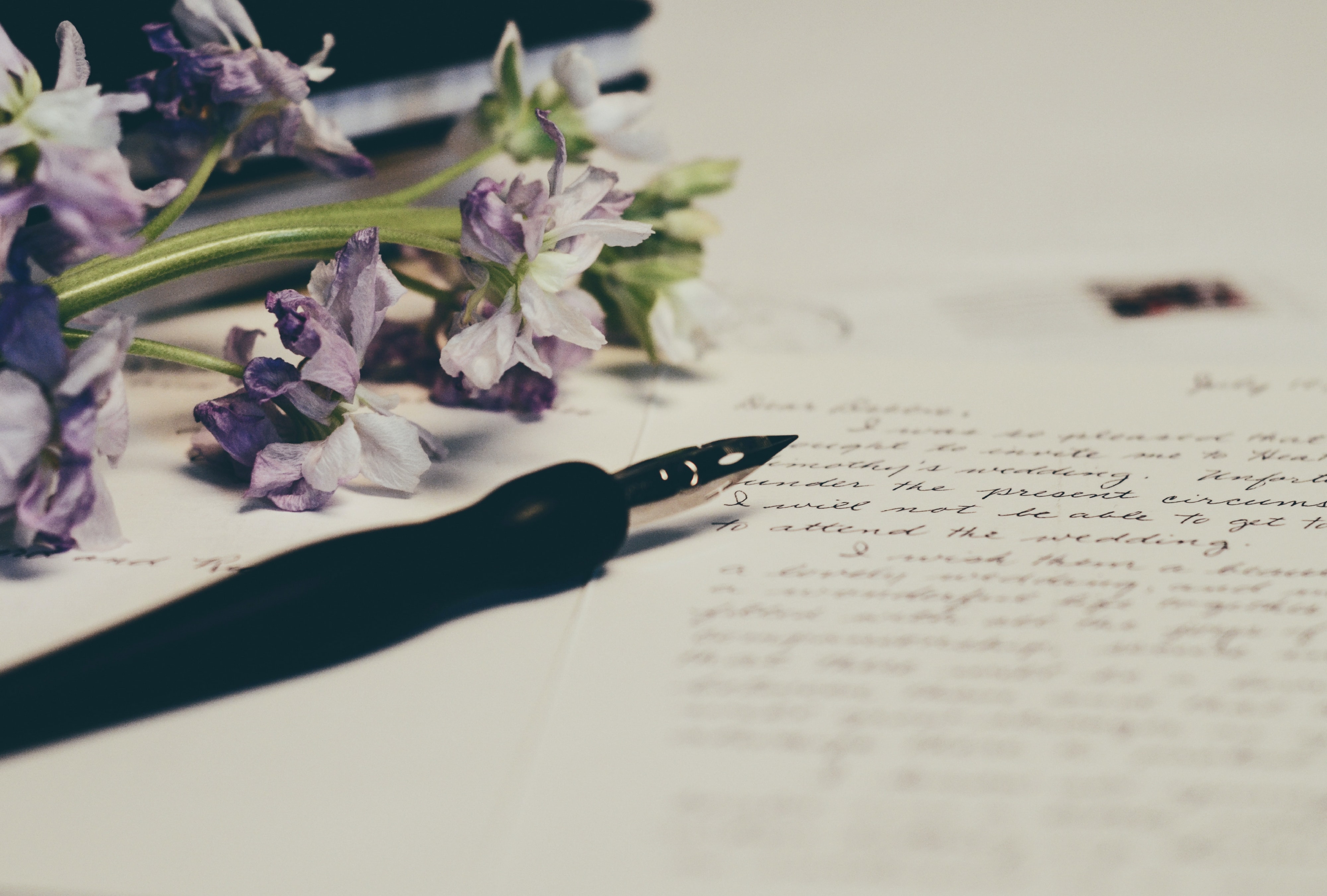 Women Who Shaped Literature: Celebrating Female Authors Who ...