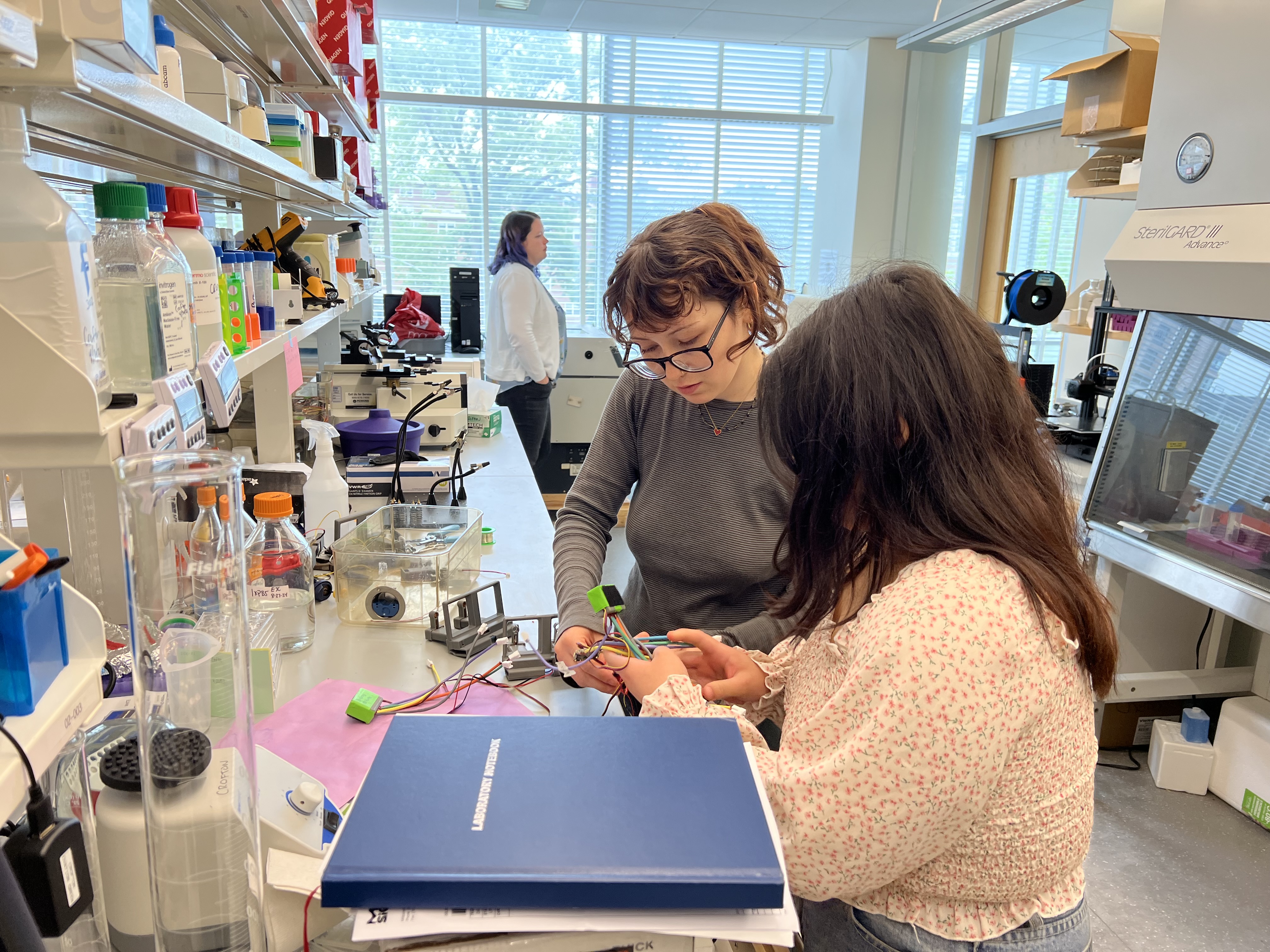 Summer Research Series: The Neuroscience of Addiction | Emmanuel College