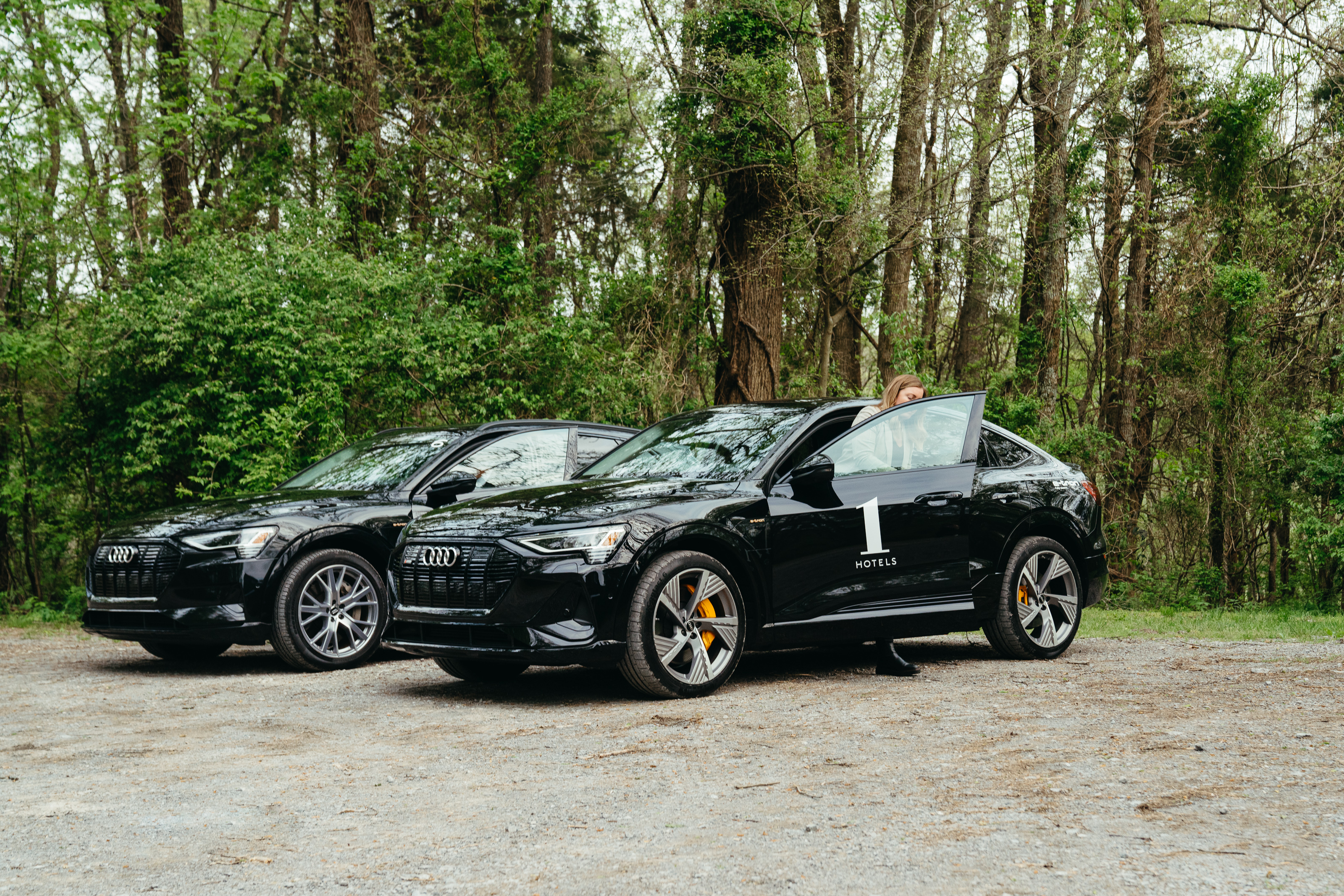 Nashville Tennessee Hotel Suites - 1 Hotel Nashville