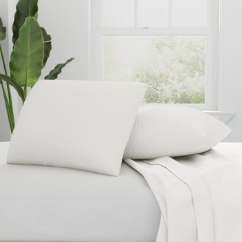 AllerEase Organic Cotton Top Allergy Protection Pillow, 2-pack | Costco