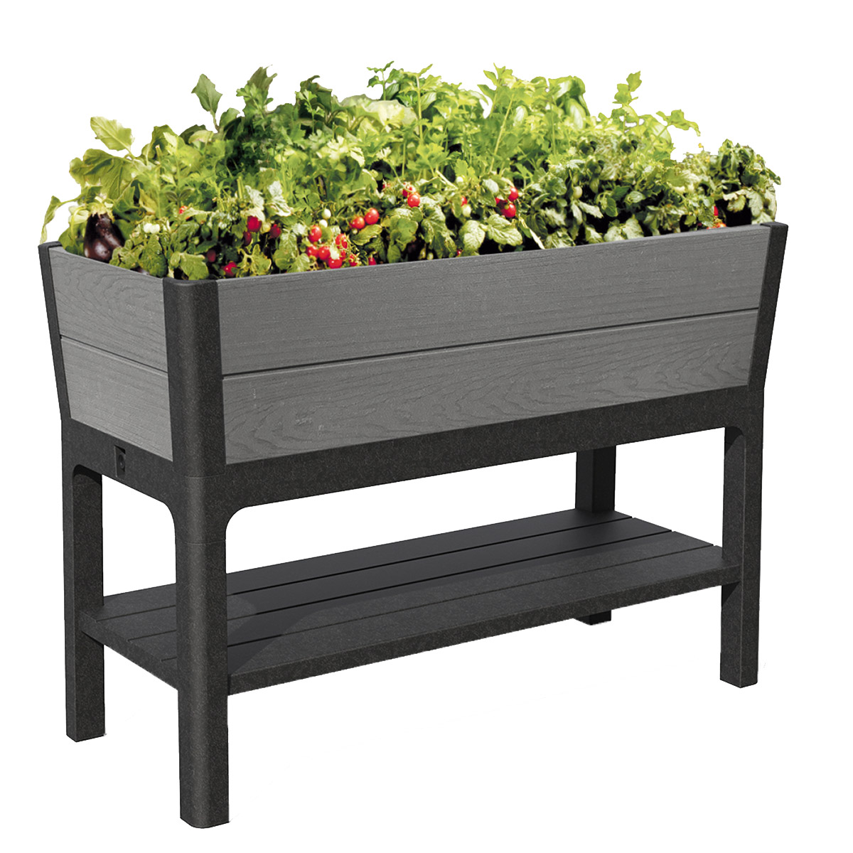 Keter Darwin 29 Gallon Raised Garden Bed and Self Watering Planter Box ...