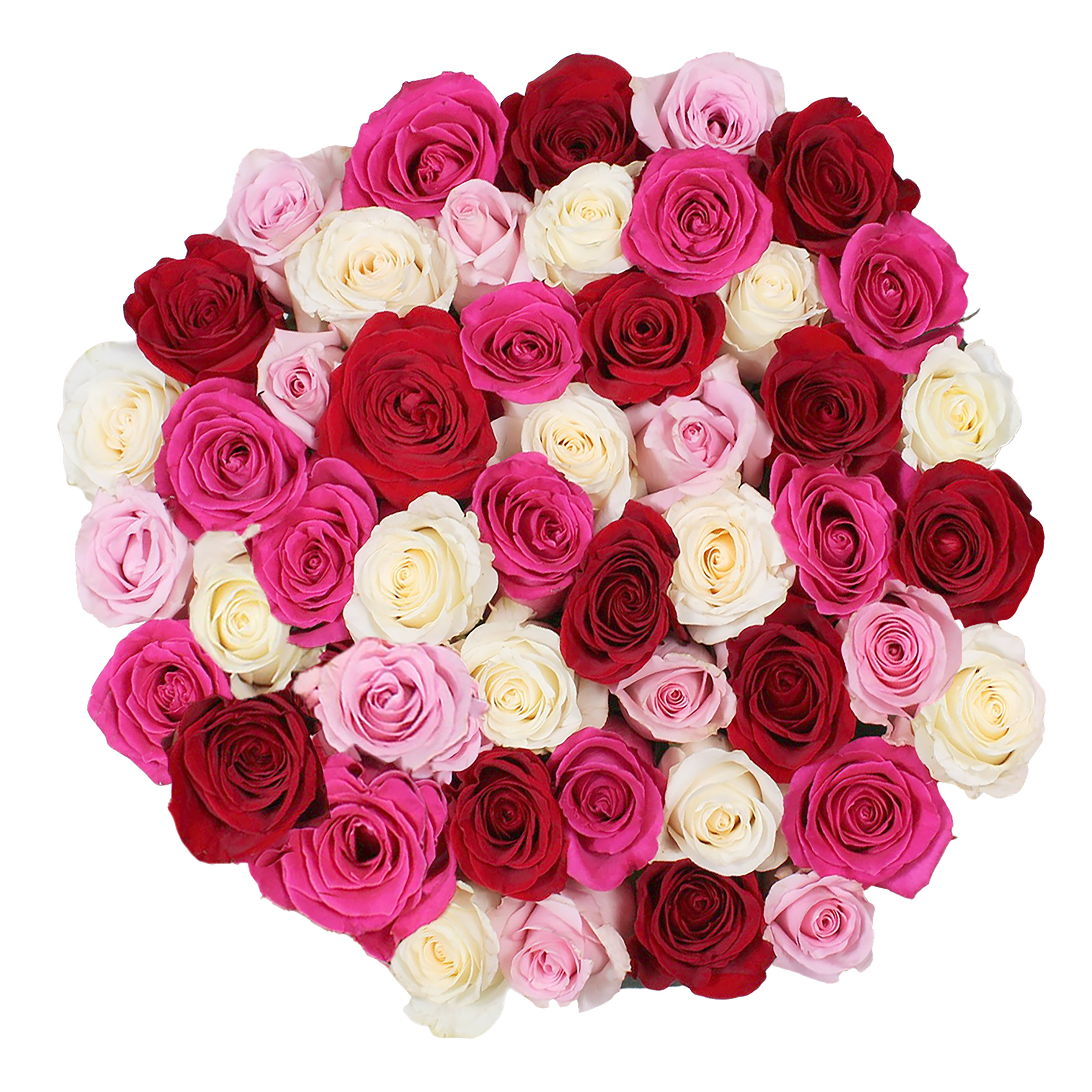 Roses, 48 Stems - Shades of Pink | Costco