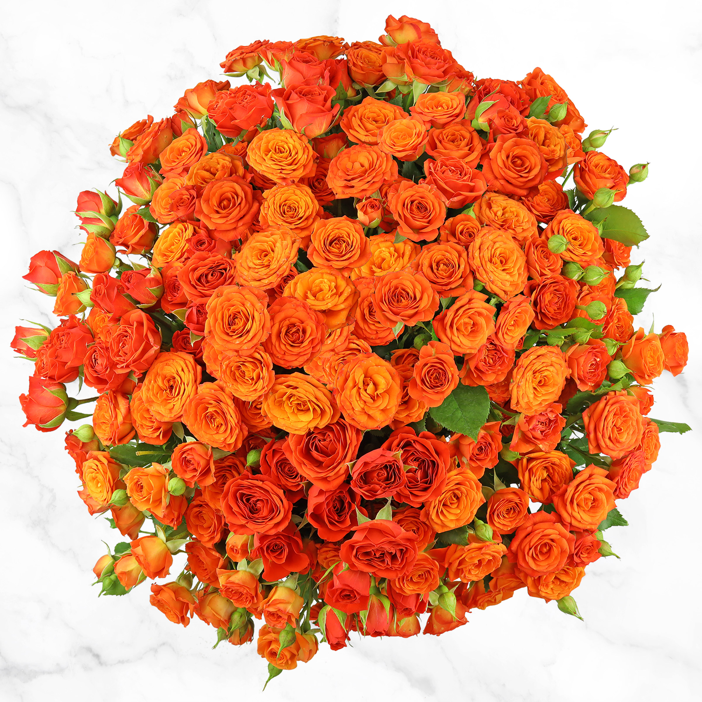 50-stem Spray Roses, Orange | Costco