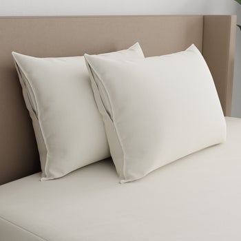 AllerEase Organic Zippered Allergy Pillow Protector, 2-pack | Costco