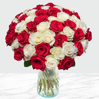 Red and White Roses Fresh Cut Floral, 50-stems | Costco