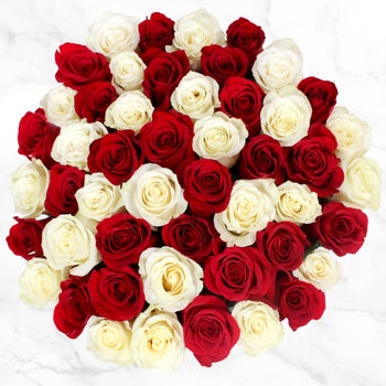 50-stem Red & White Roses | Costco