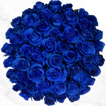 50-stem Blue Roses | Costco
