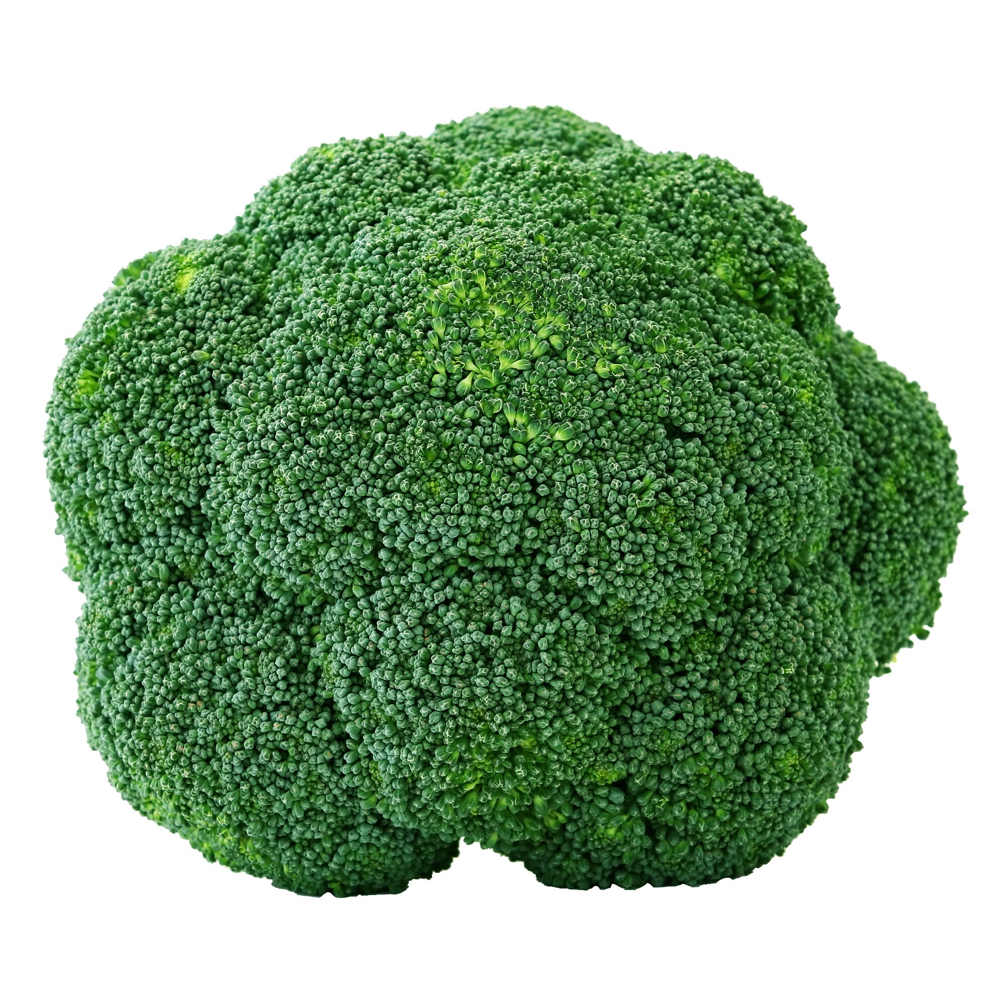 Broccoli Crowns, 4.54 kg | Costco