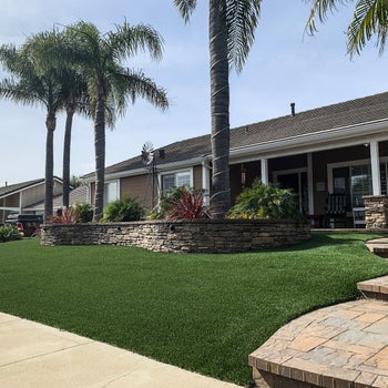 PreGra 80 oz Platinum Artificial Turf | Costco