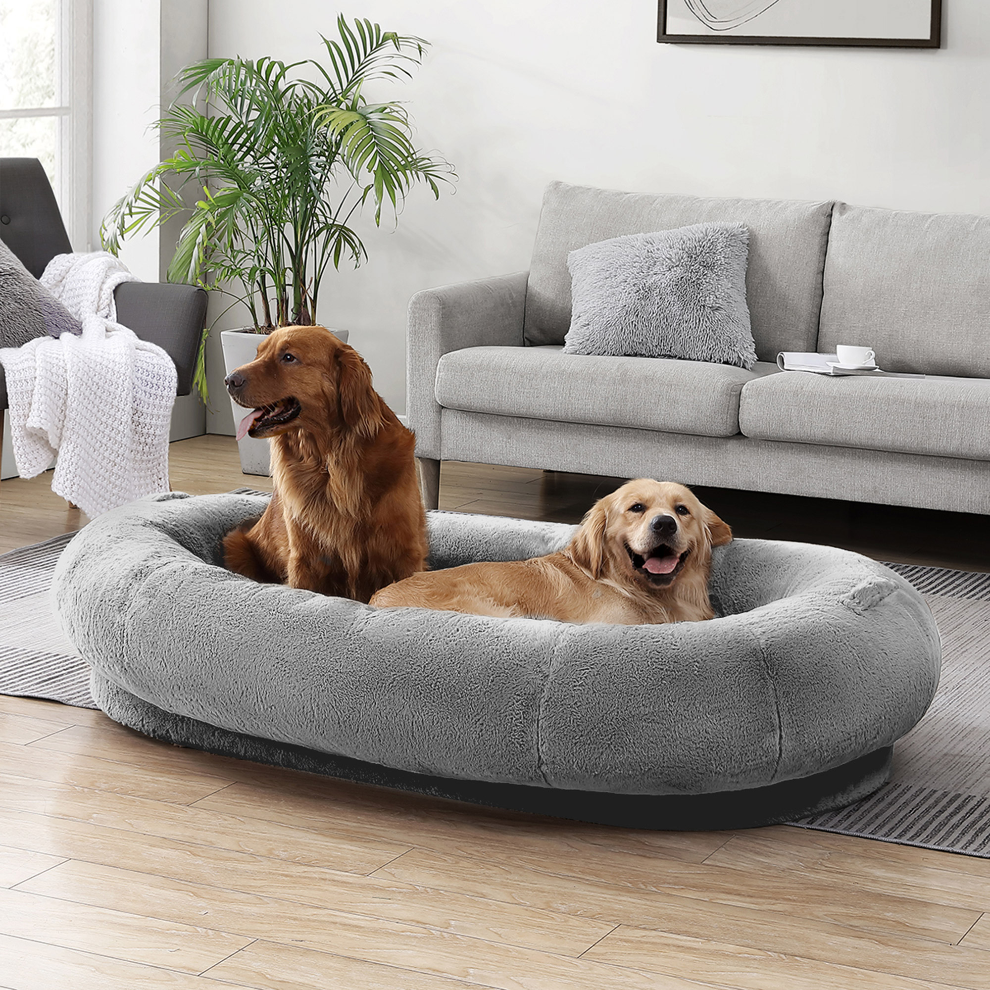 Arlee Dog Beds | Costco
