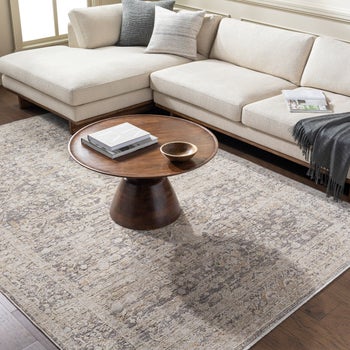 Peighton Area Rug Collection, Gray | Costco