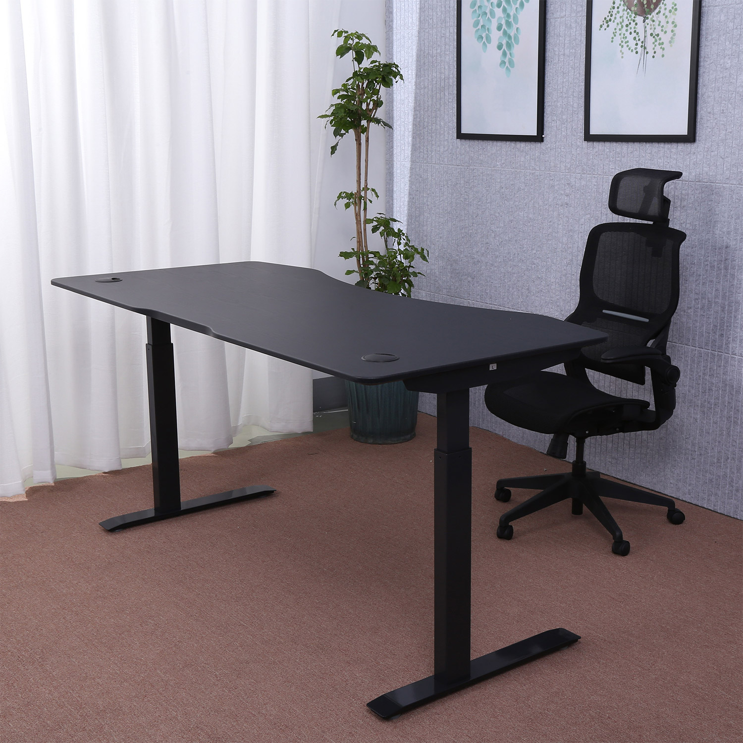 Standing & Height Adjustable Desks | Costco