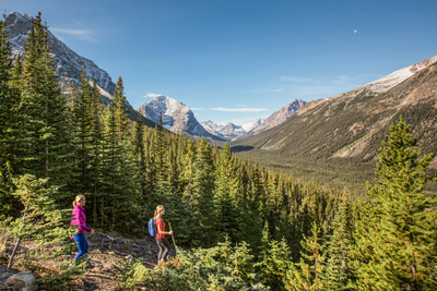 Jasper National Park: An Ultimate Guide for Tourists in 2026