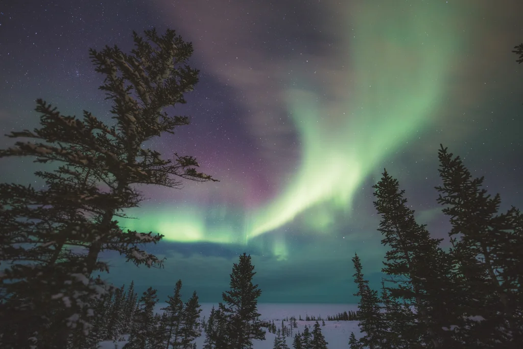 Canada's Northern Lights: Astronomy Adventures in Churchill!