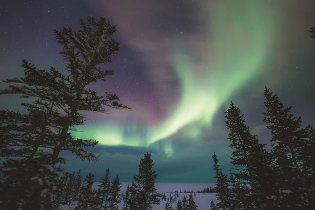 Canada's Northern Lights: Astronomy Adventures in Churchill!
