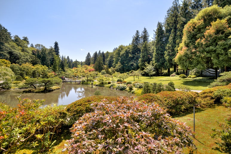 8 best things to do in Seattle in spring
