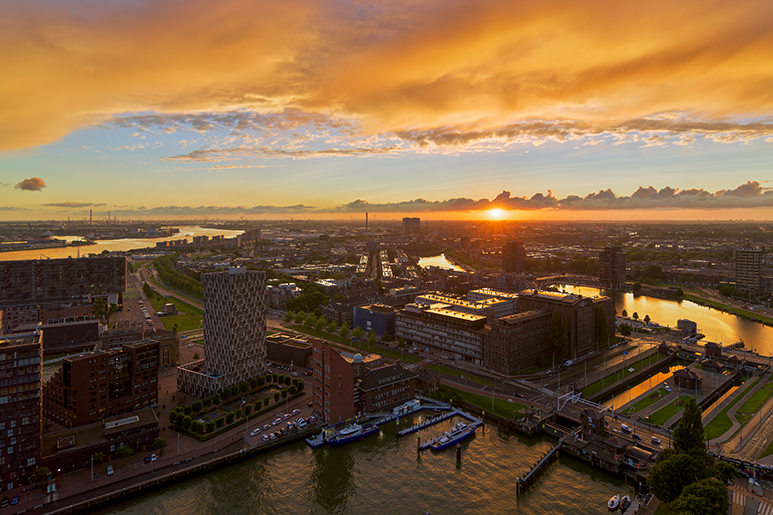 7 leuke dingen om 's avonds in Rotterdam te doen
