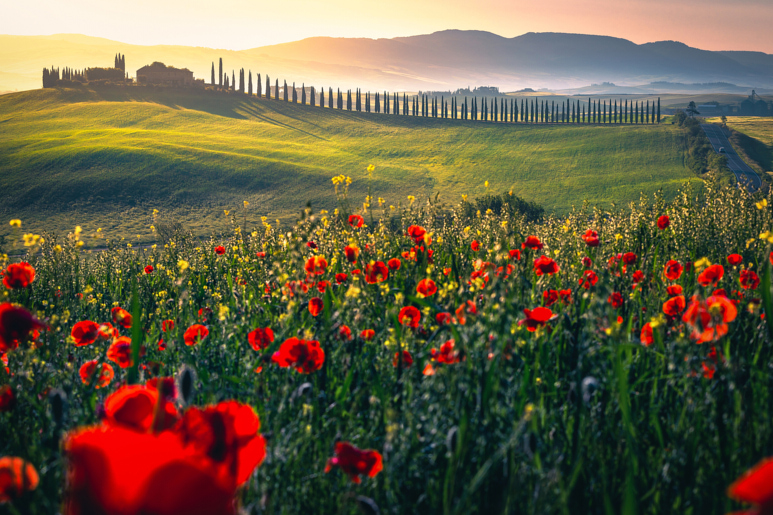 Spring Destinations: 7 Scenic Places to Travel in Spring